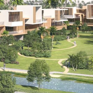 How is the lifestyle in New Zayed different from other cities in Egypt ...